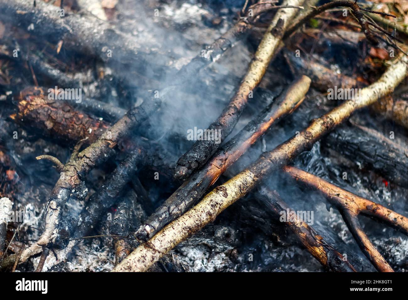 Campfire extinguished by water, smoking charred branches Stock Photo ...