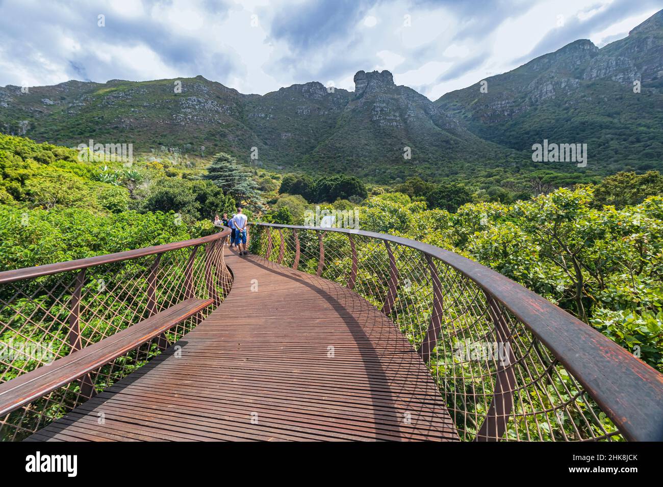 The Centenary Tree Canopy Walkway in Kirstenbosch National Botanical ...