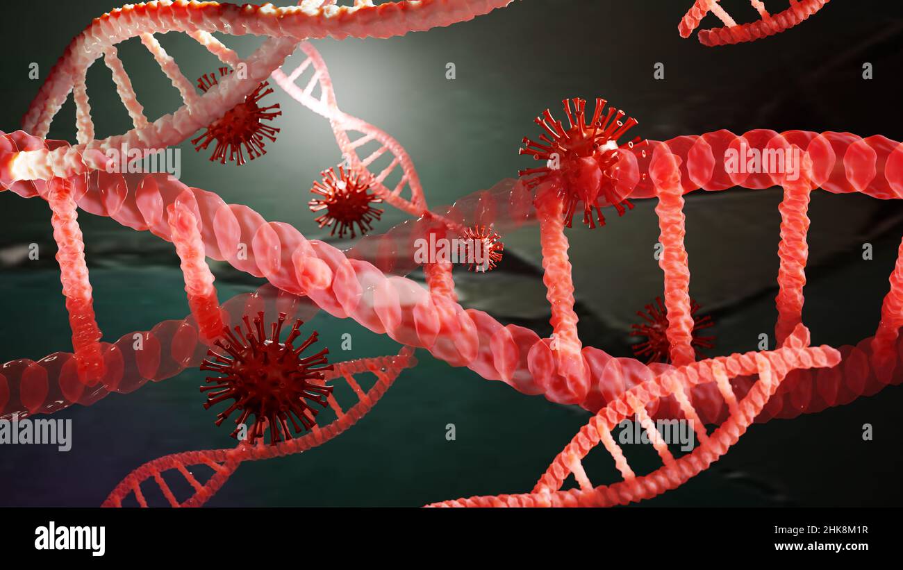 infection of covid-19 virus inside DNA, coronavirus pandemic flu ...