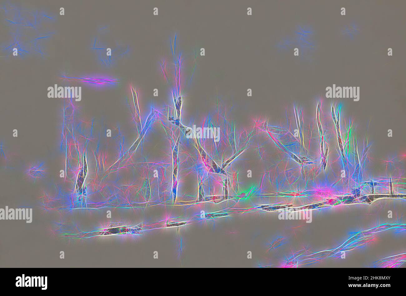 Inspired by On either side of the dike are houses along the water. 4 ...