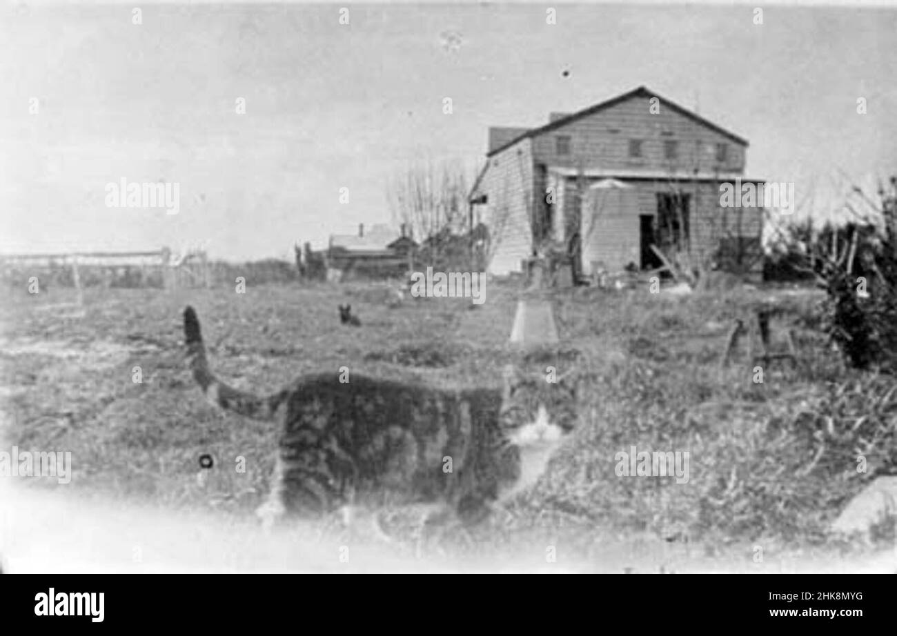 General store 1920s hi-res stock photography and images - Alamy