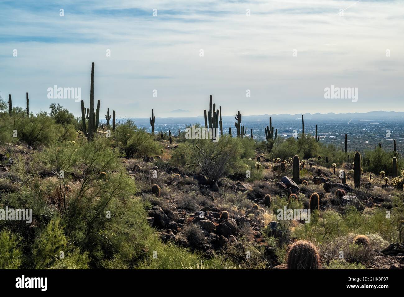 An overlooking view of nature in Mesa, Arizona Stock Photo - Alamy