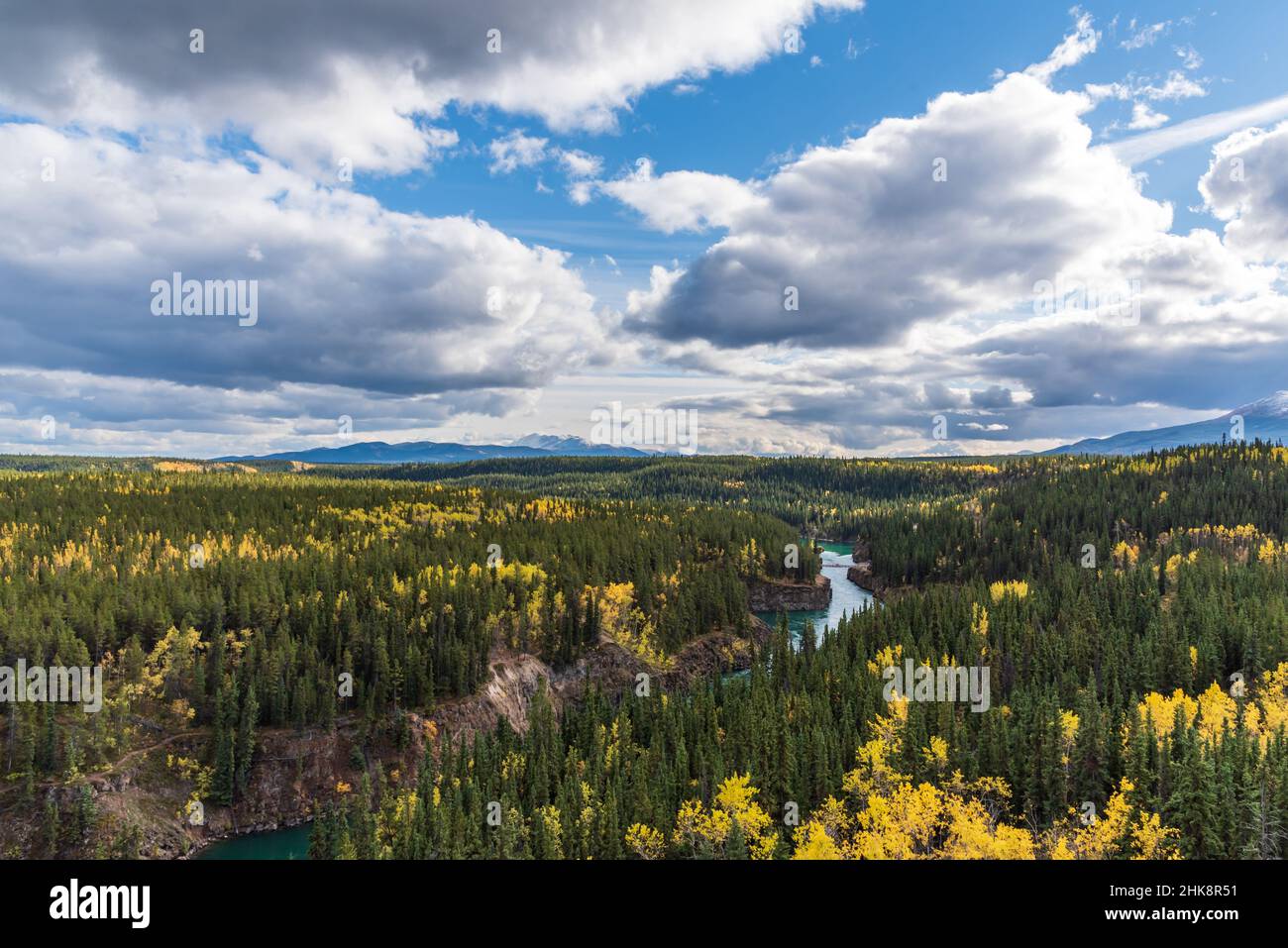 The incredible boreal forest of Canada in September with spruce, pine ...