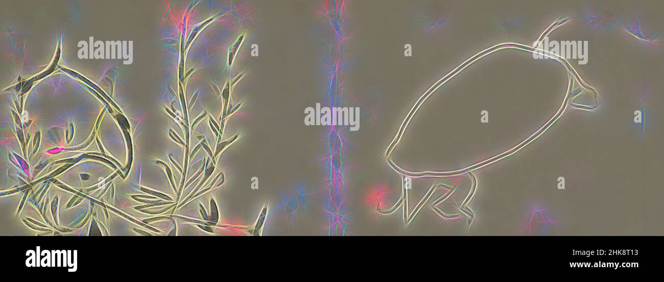 Inspired by study of an animal with a shield, Animal between the leaves ...