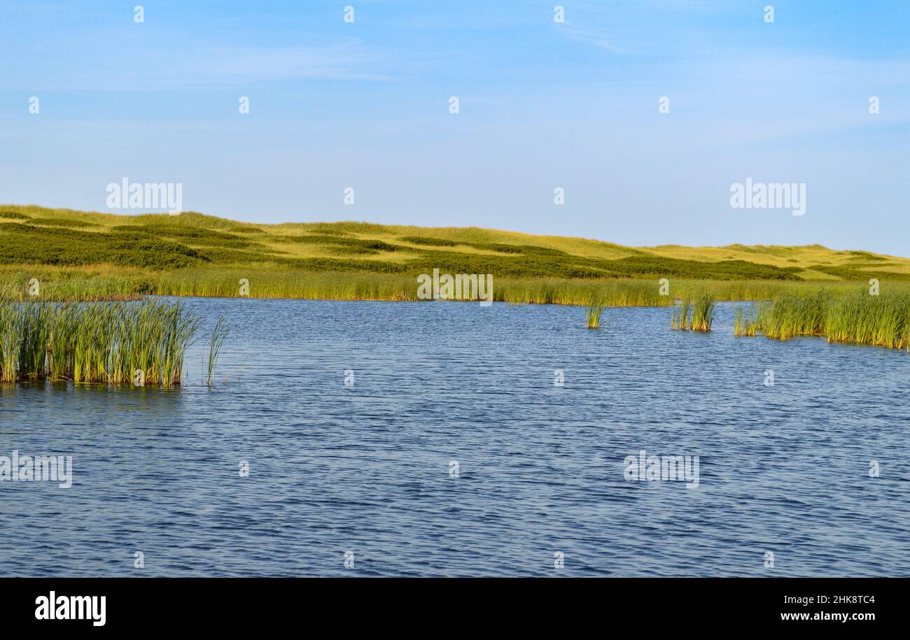 Richard batten hi-res stock photography and images - Alamy