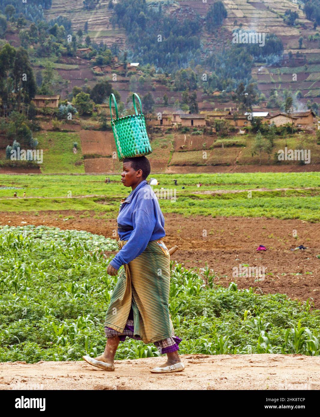 Rwandan field crop agriculture hi-res stock photography and images - Alamy