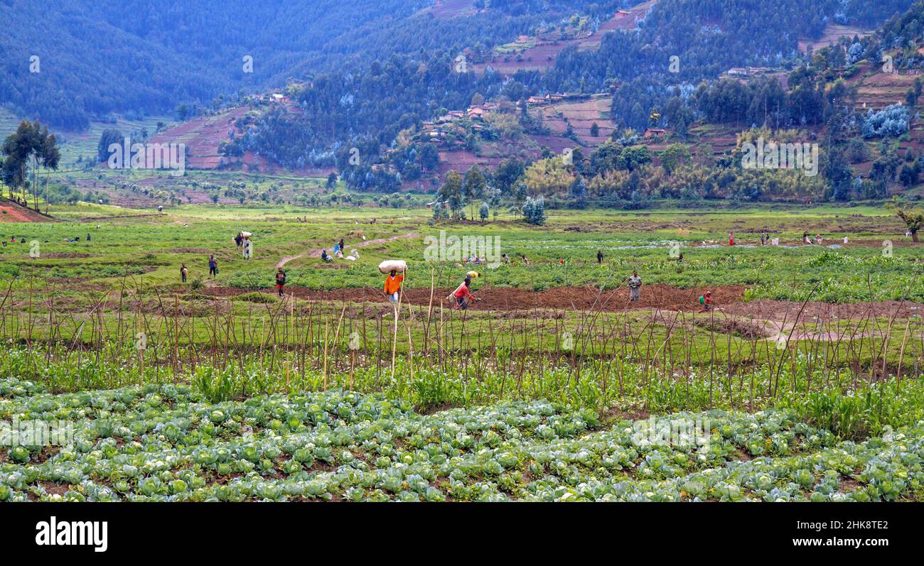 Rwanda rural houses hi-res stock photography and images - Alamy