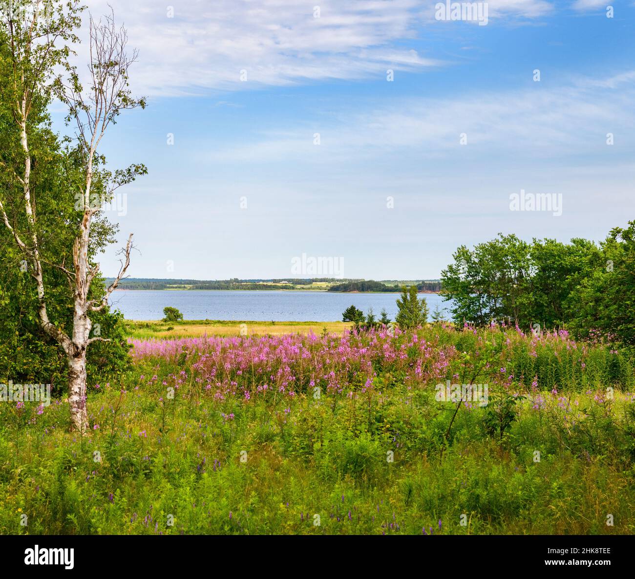 Saint edward farm hi-res stock photography and images - Alamy