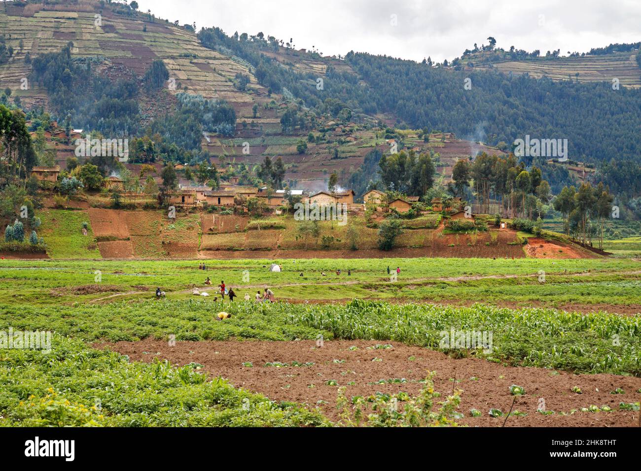 Rwanda rural houses hi-res stock photography and images - Alamy