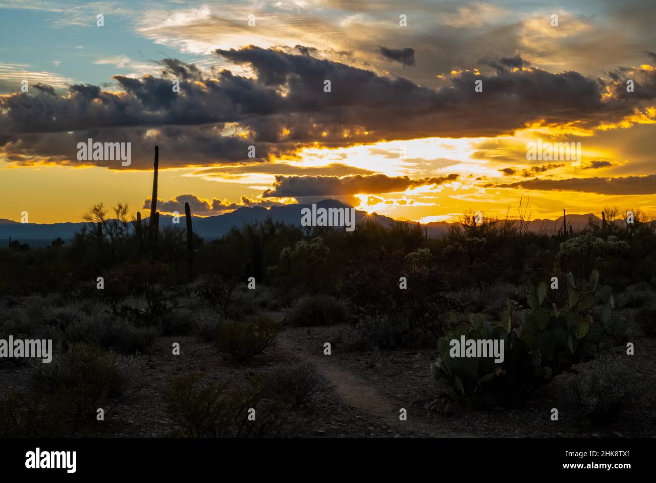 Dramatic vibrant sunset scenery in Tucson, Arizona Stock Photo - Alamy