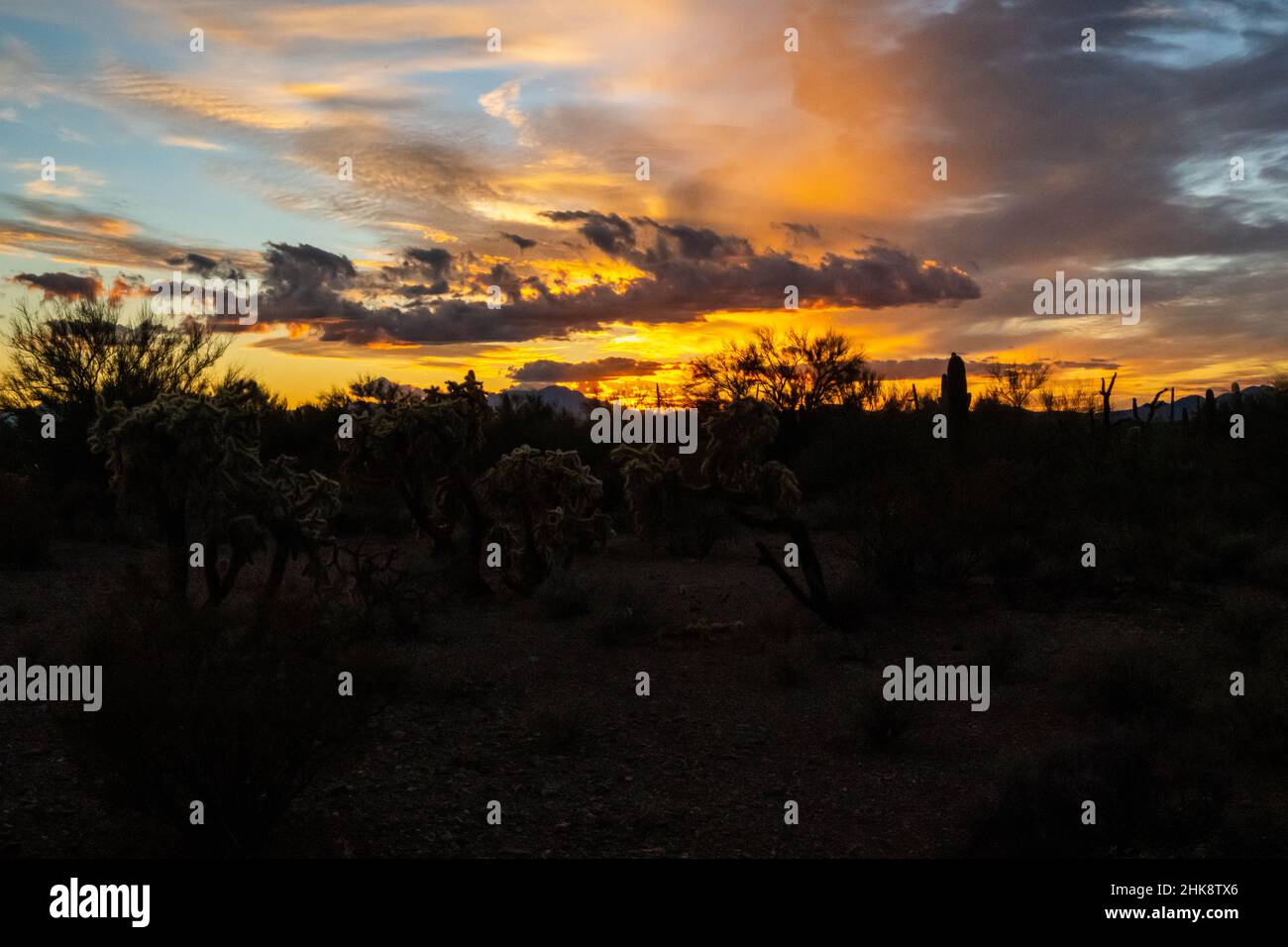 Dramatic vibrant sunset scenery in Tucson, Arizona Stock Photo - Alamy