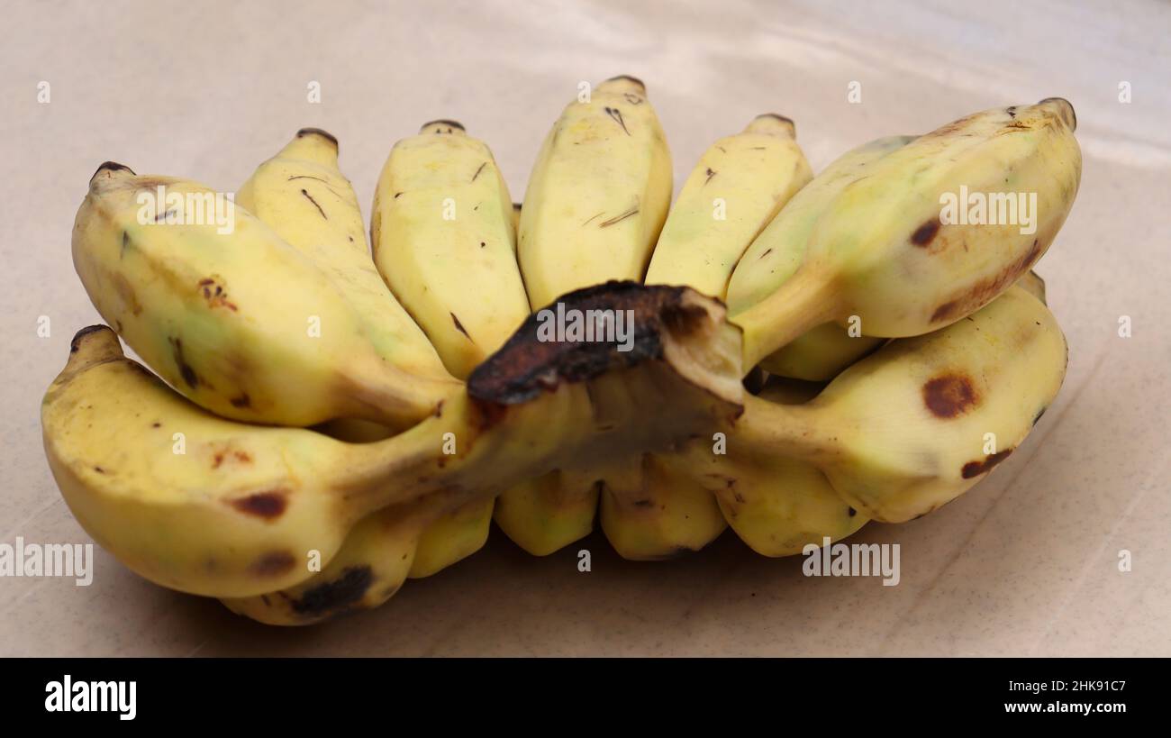 Bunch Of yellow banana side view. with dim background Stock Photo - Alamy