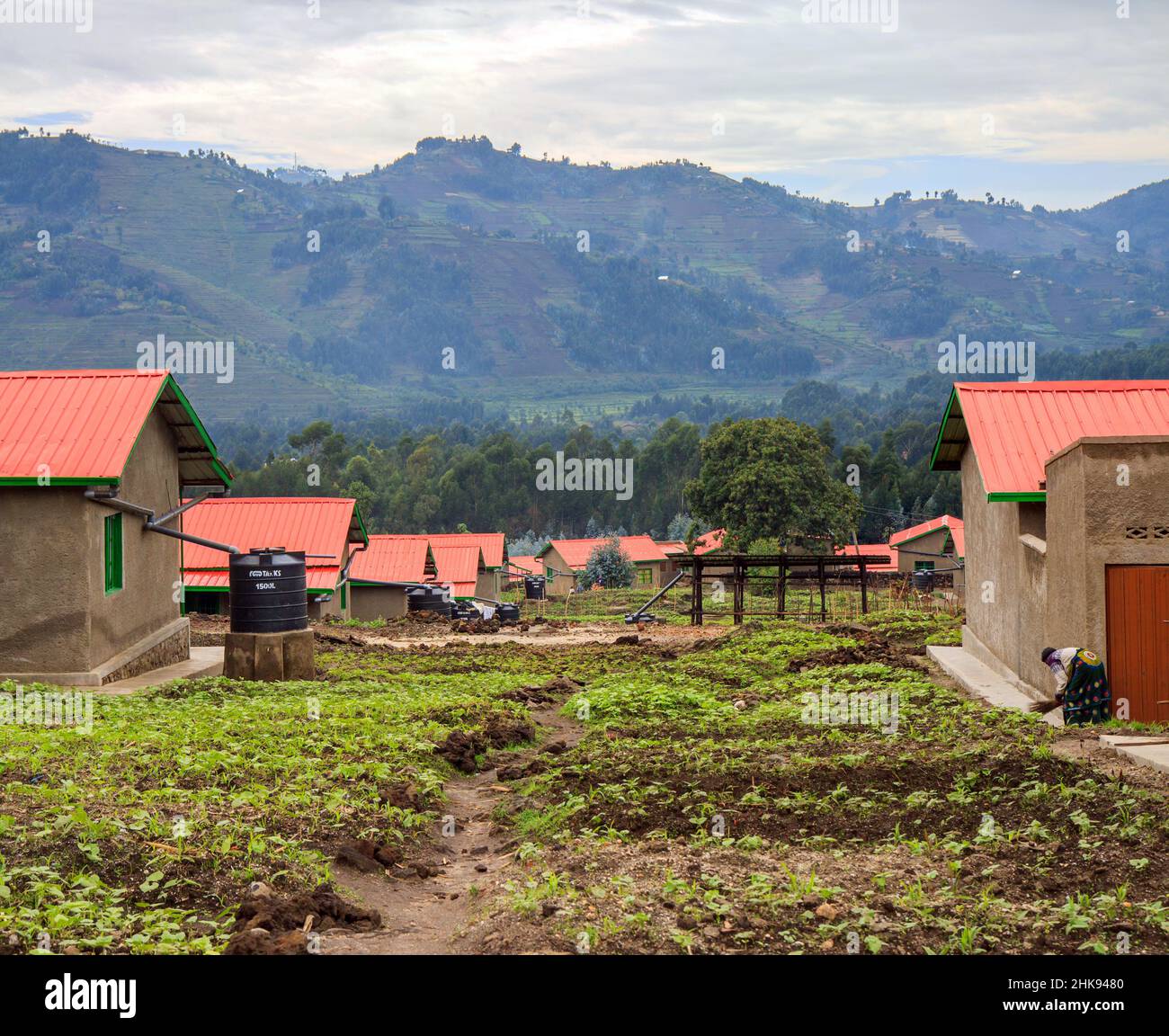 Model resettlemenet village in Rwanda, Africa Stock Photo - Alamy