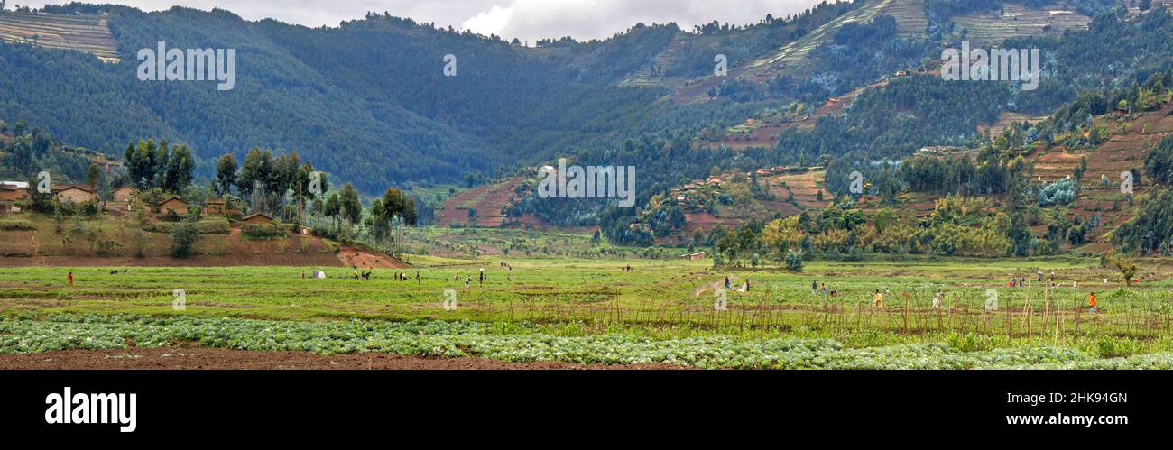 Rural scene in Northwest Rwanda Stock Photo - Alamy