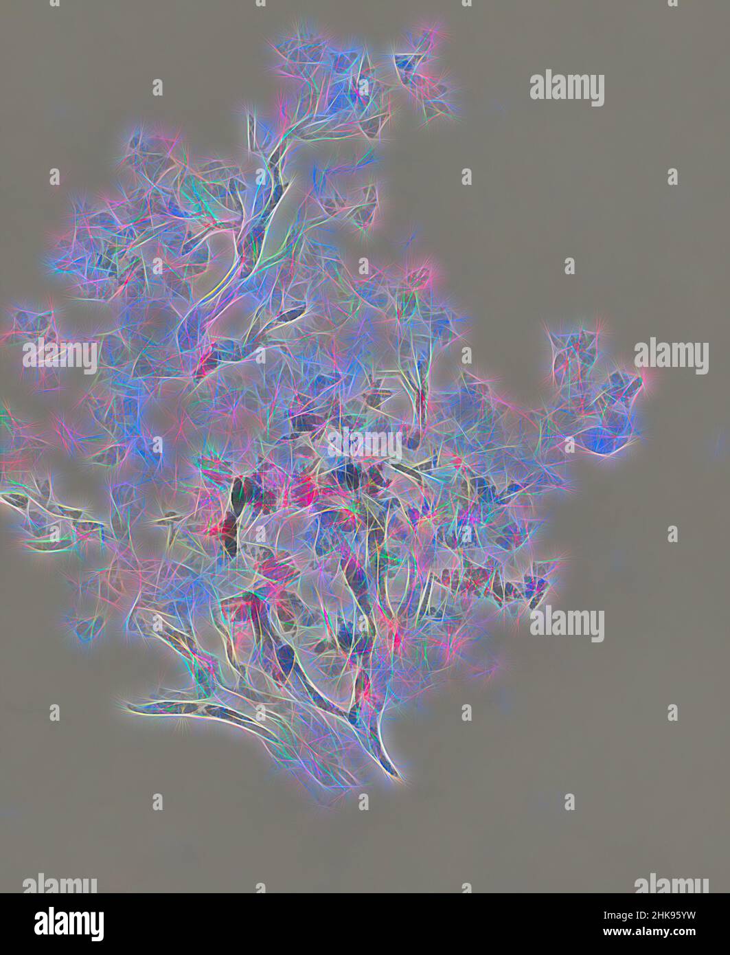 Inspired by Front endpaper and page 1 Tree in sheet, Reimagined by ...