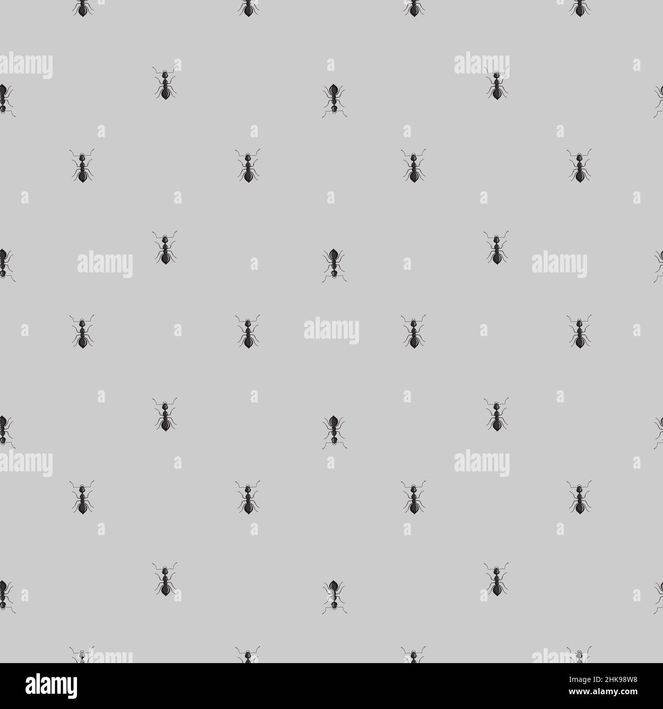 Seamless pattern colony ants on gray background. Vector insects ...