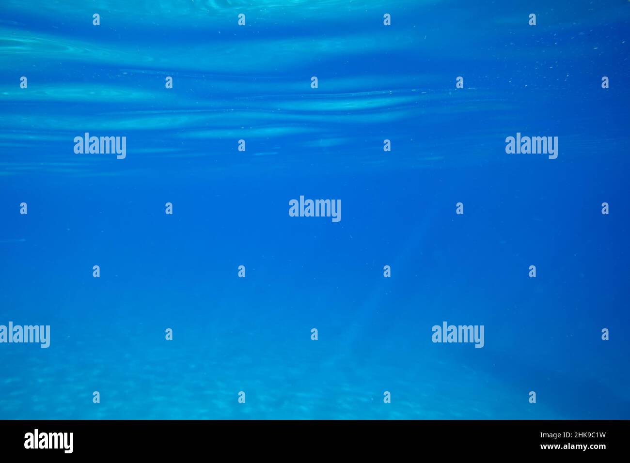 Beautiful underwater as a background Stock Photo - Alamy
