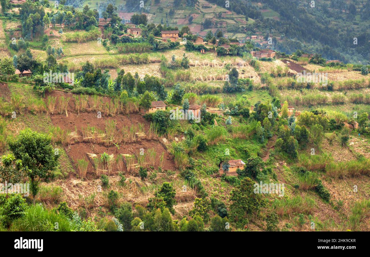 Rwanda, land of a thousand hills Stock Photo - Alamy