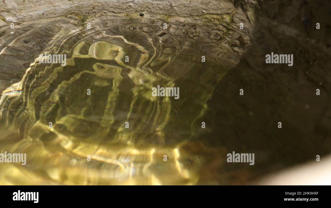 Circular dim water. Pure water vibration Stock Photo - Alamy