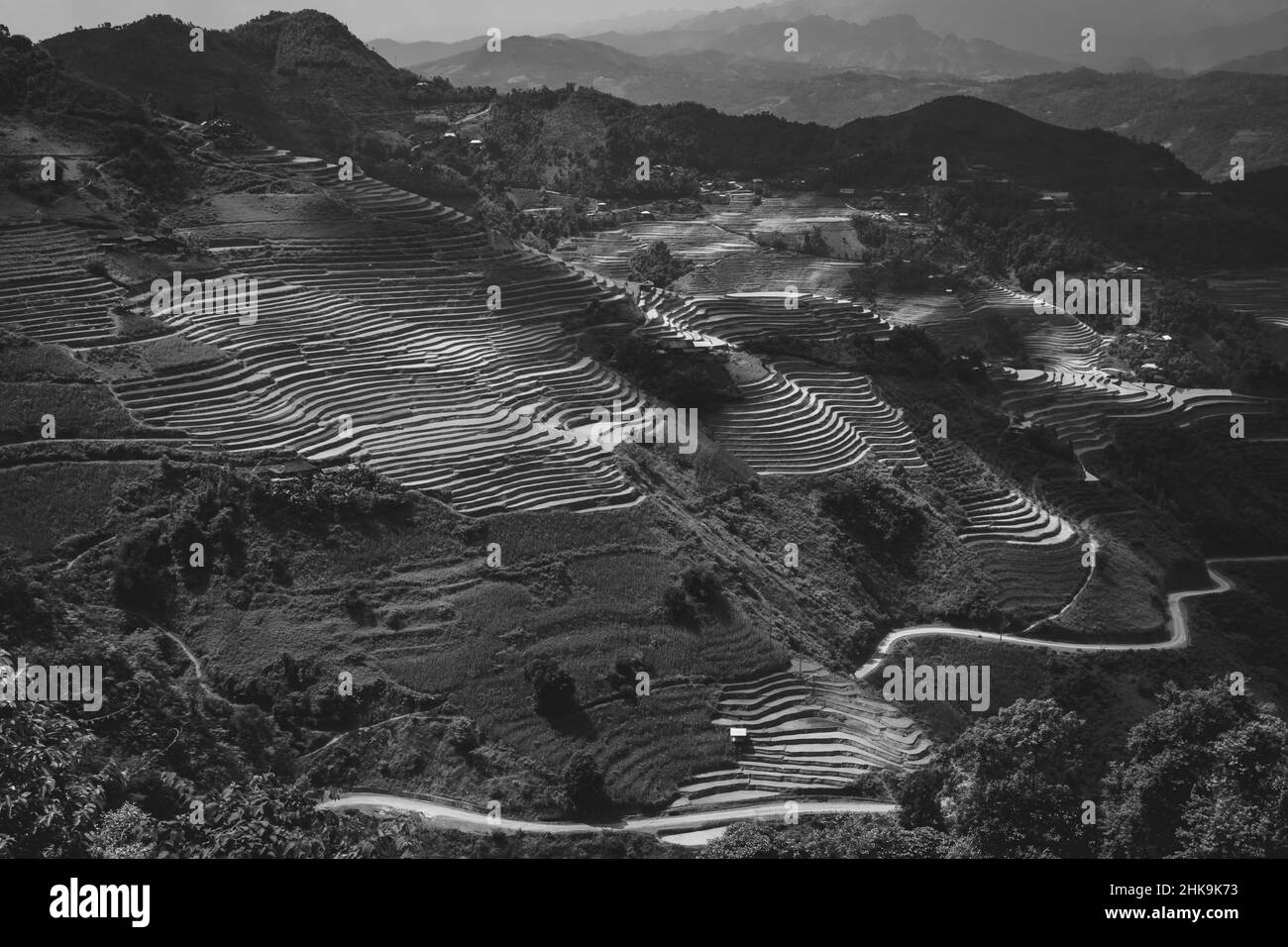 Scenery of Vietnamese rice fields Stock Photo - Alamy