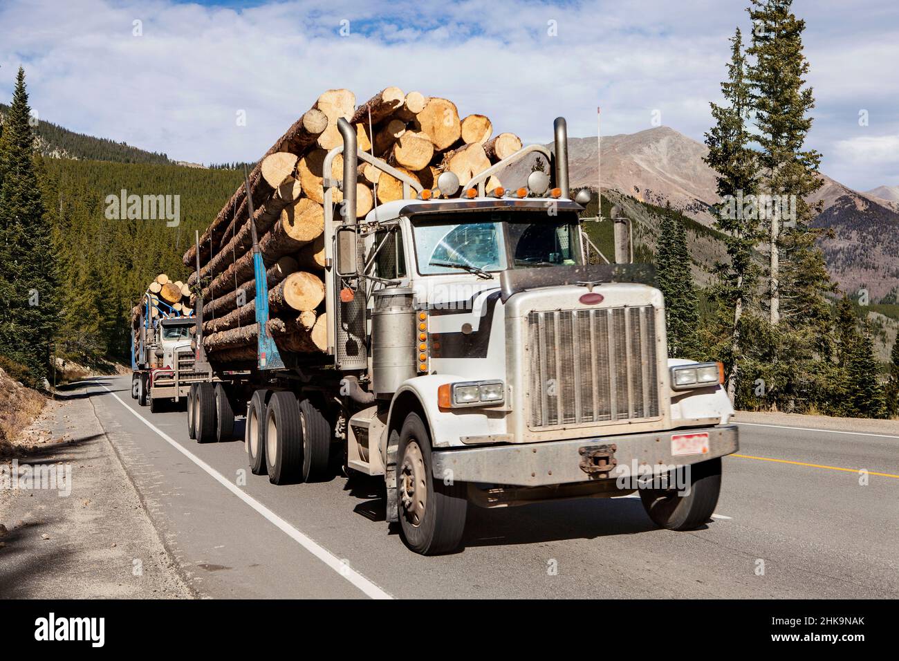 Trucks hauling logs through Monarch Pass in Colorado, USA Stock Photo ...
