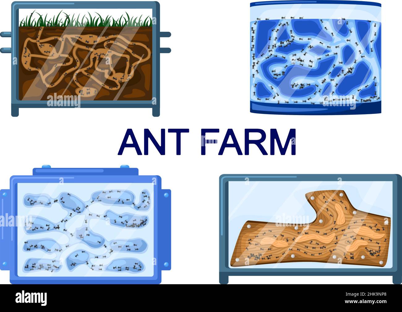 Set ant farms isolated on white background. Different kinds formicaria ...