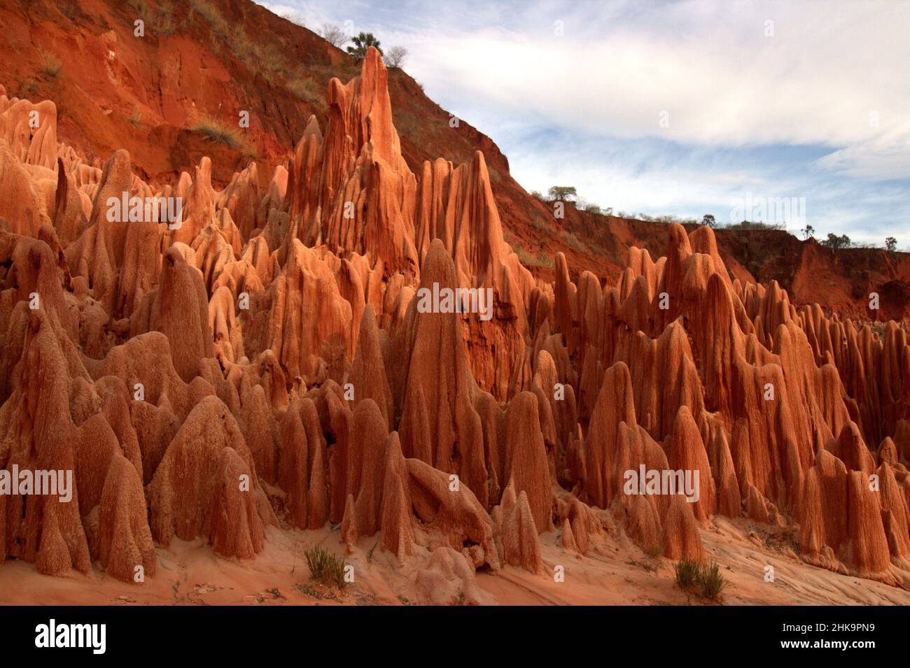 Tsingy rouge, madagascar hi-res stock photography and images - Alamy