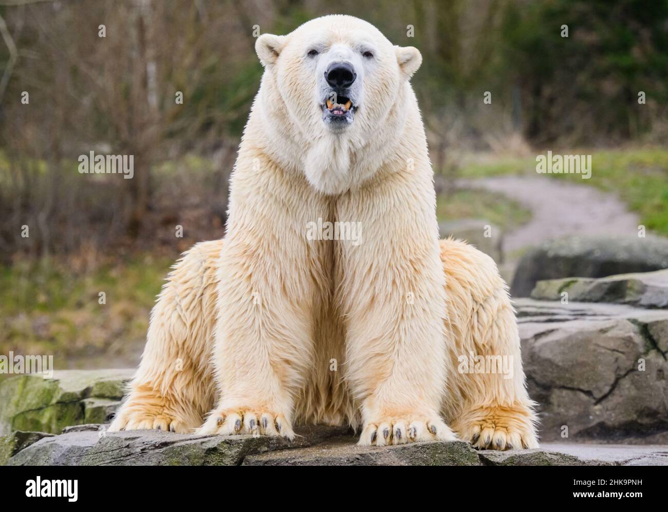 Animal sponsor hi-res stock photography and images - Alamy