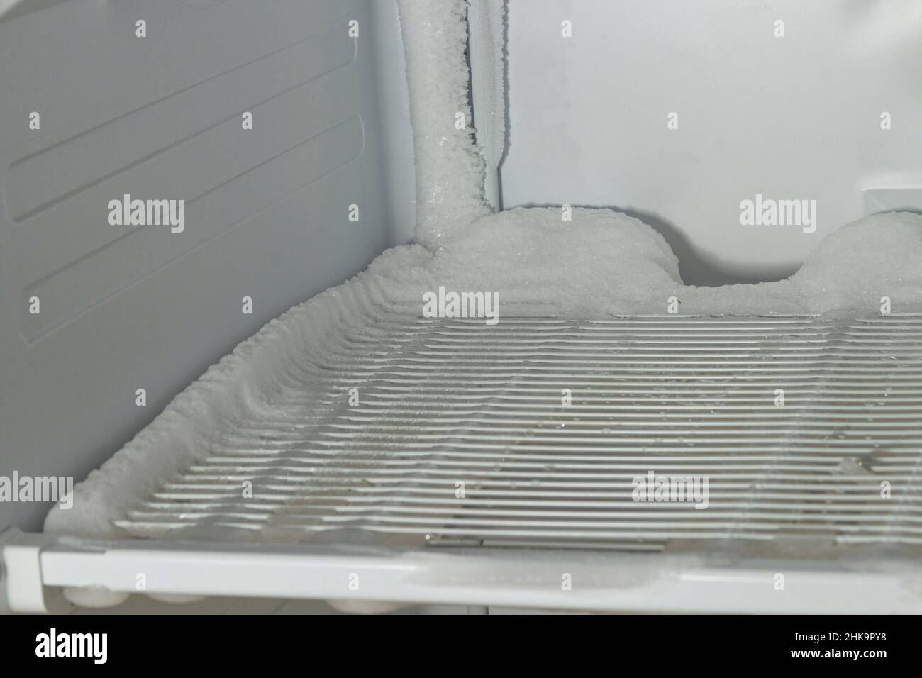 snow in the freezer. Cleaning refrigerator shelves from ice and dirt ...