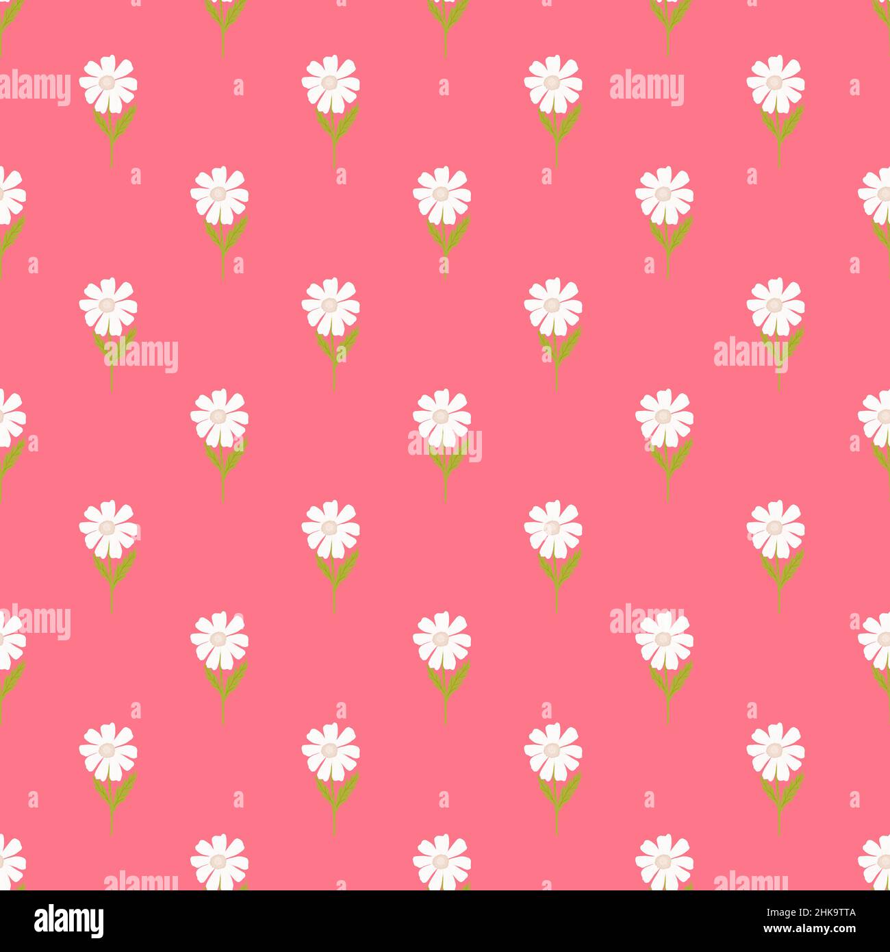 Chamomile pattern seamless in freehand style. Spring flowers on ...