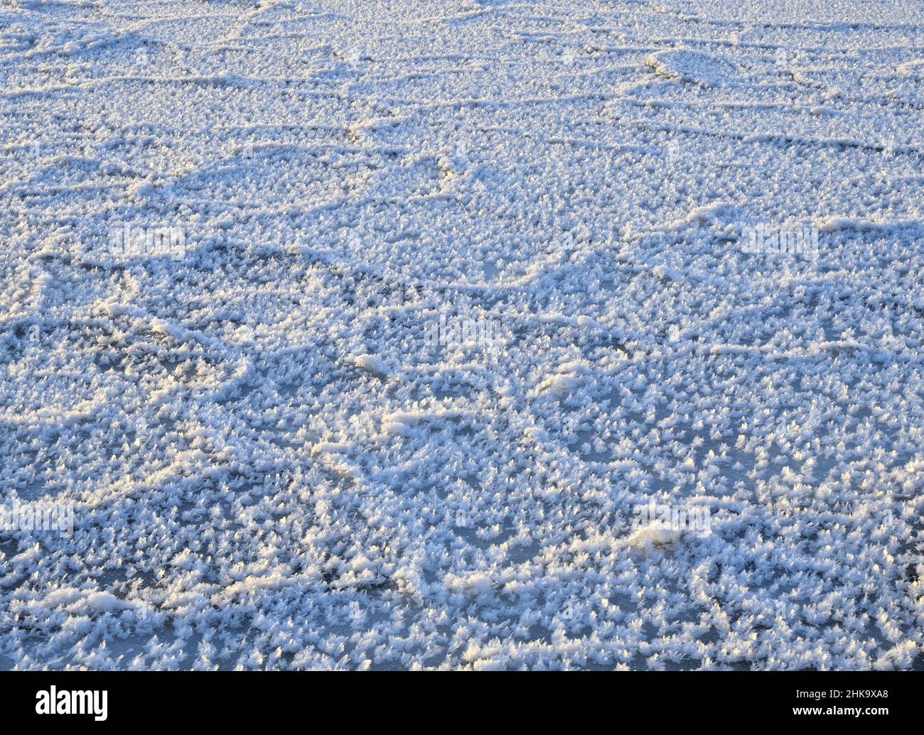 Snow cellular structures on the first blue ice of a river. Large snow ...