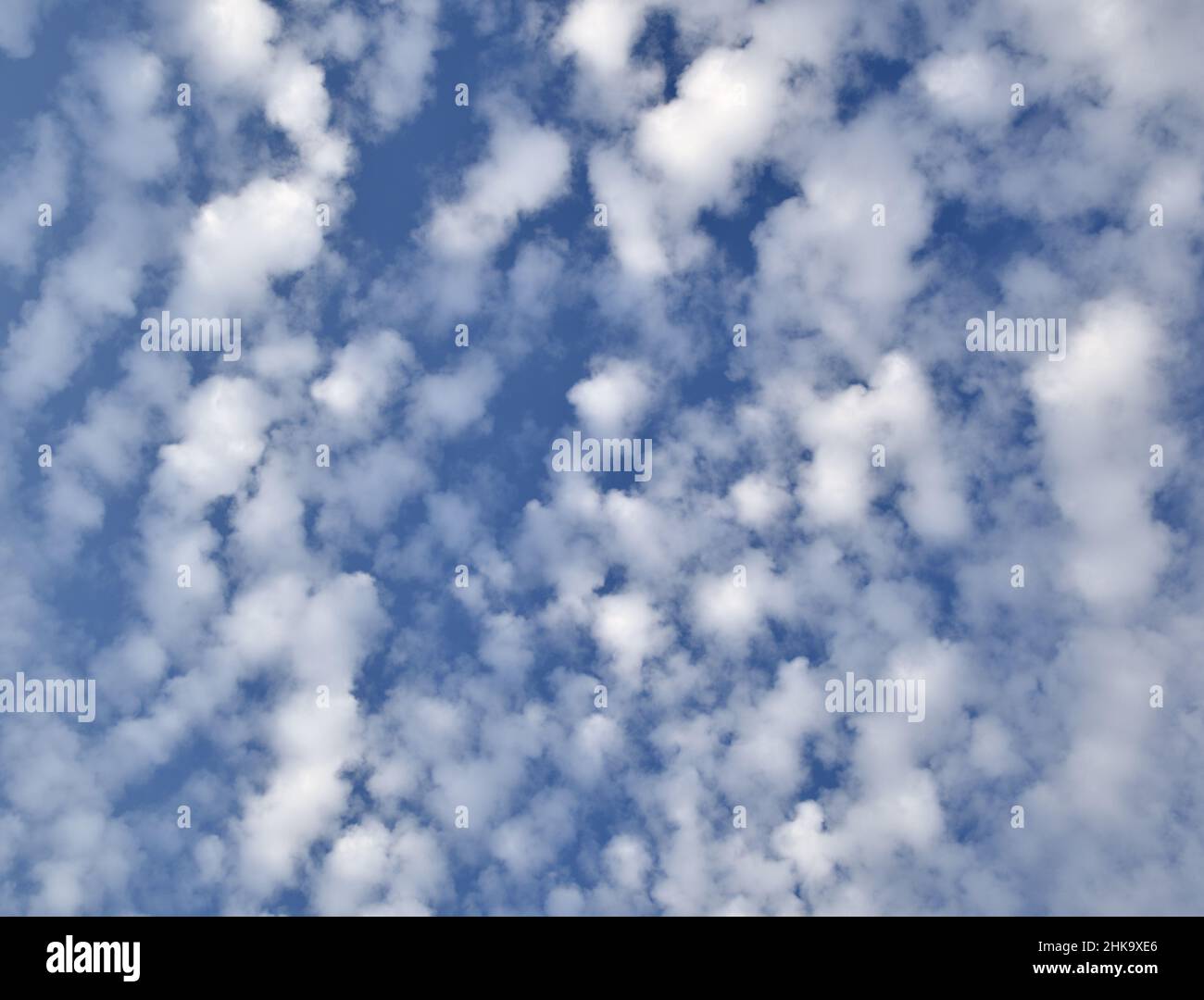 White pure layered clouds on a blue sky. Sky landscape, background ...