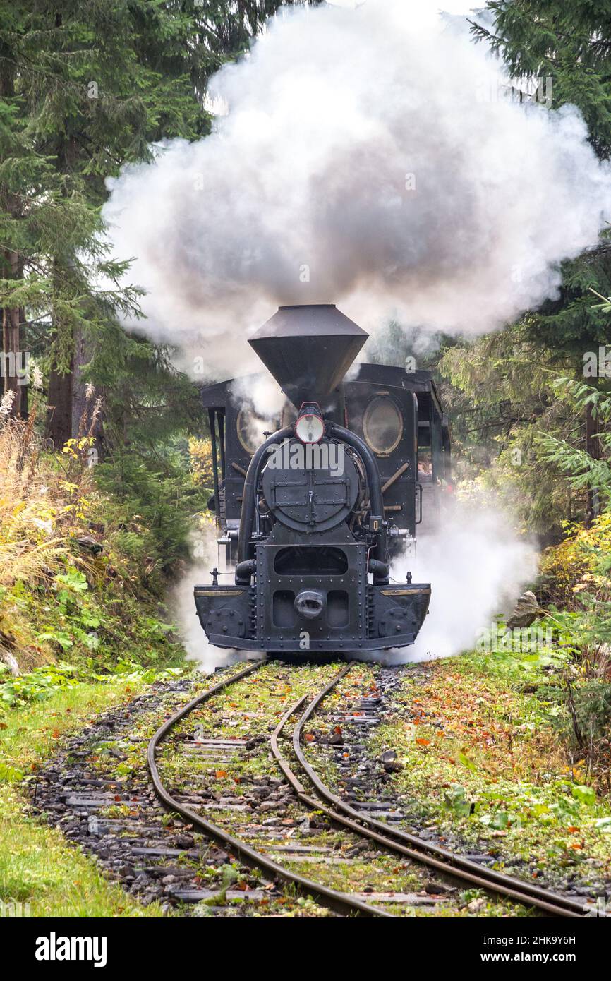 Steam locomotive in forest railways in museum of Kysuce village ...