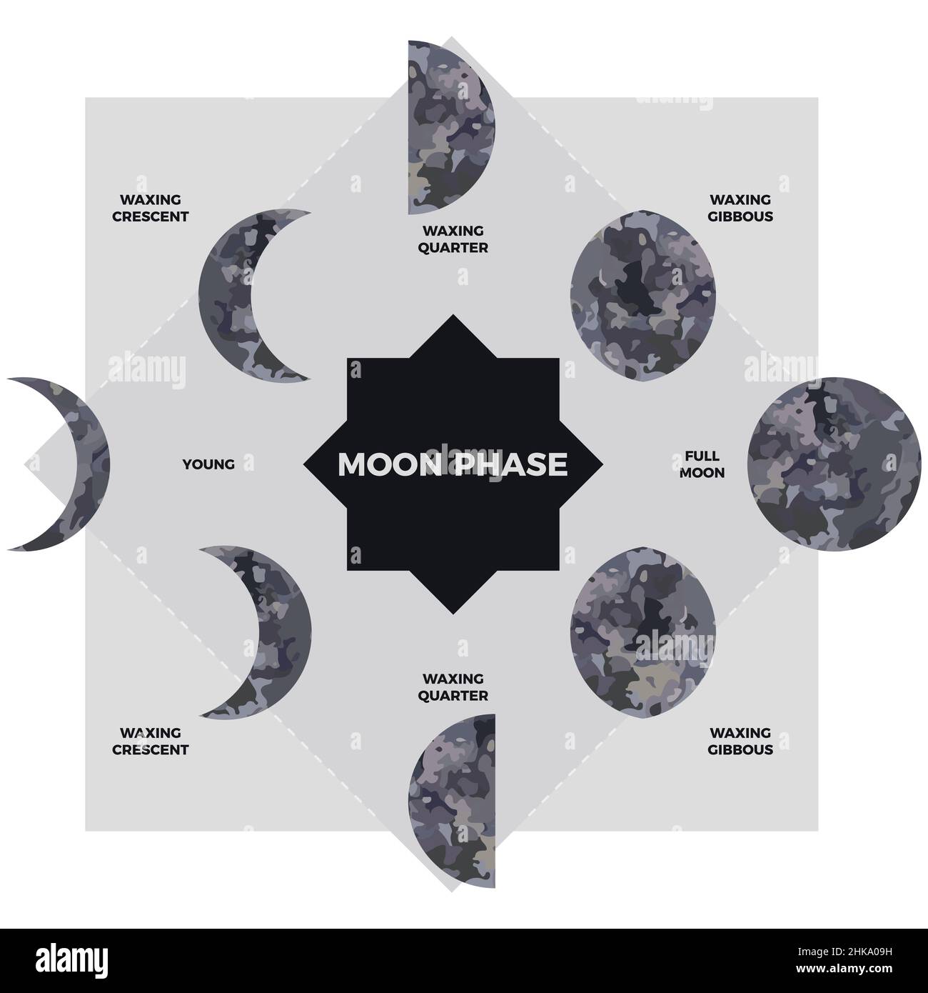 Moon phase. Textured surface of the moon. Lunar phases throughout the ...