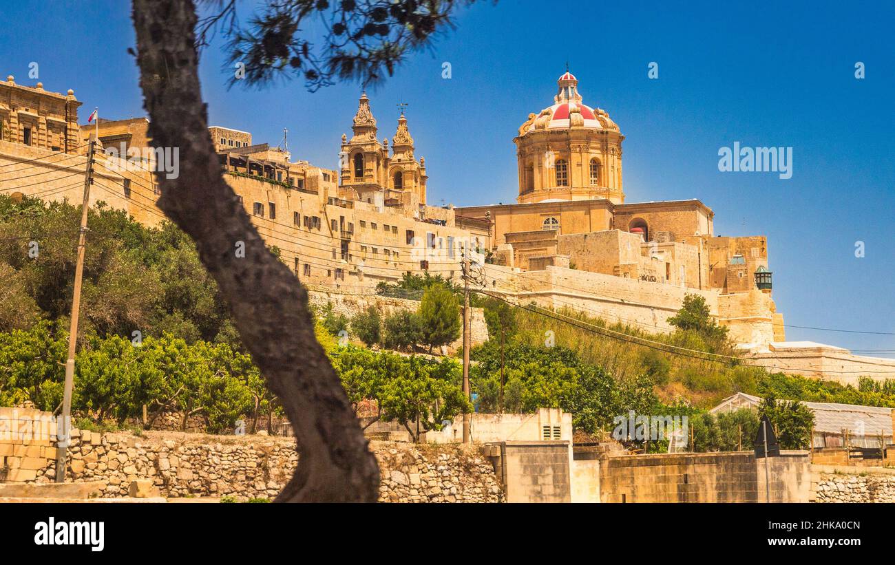View of Mdina, a fortified medieval city in the Northern Region of ...