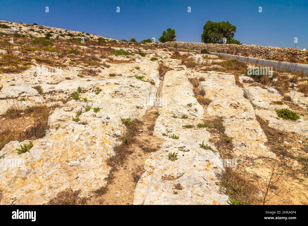 Cart ruts on the Malta island, known as Misrah Ghar il-Kbir or Clapham ...