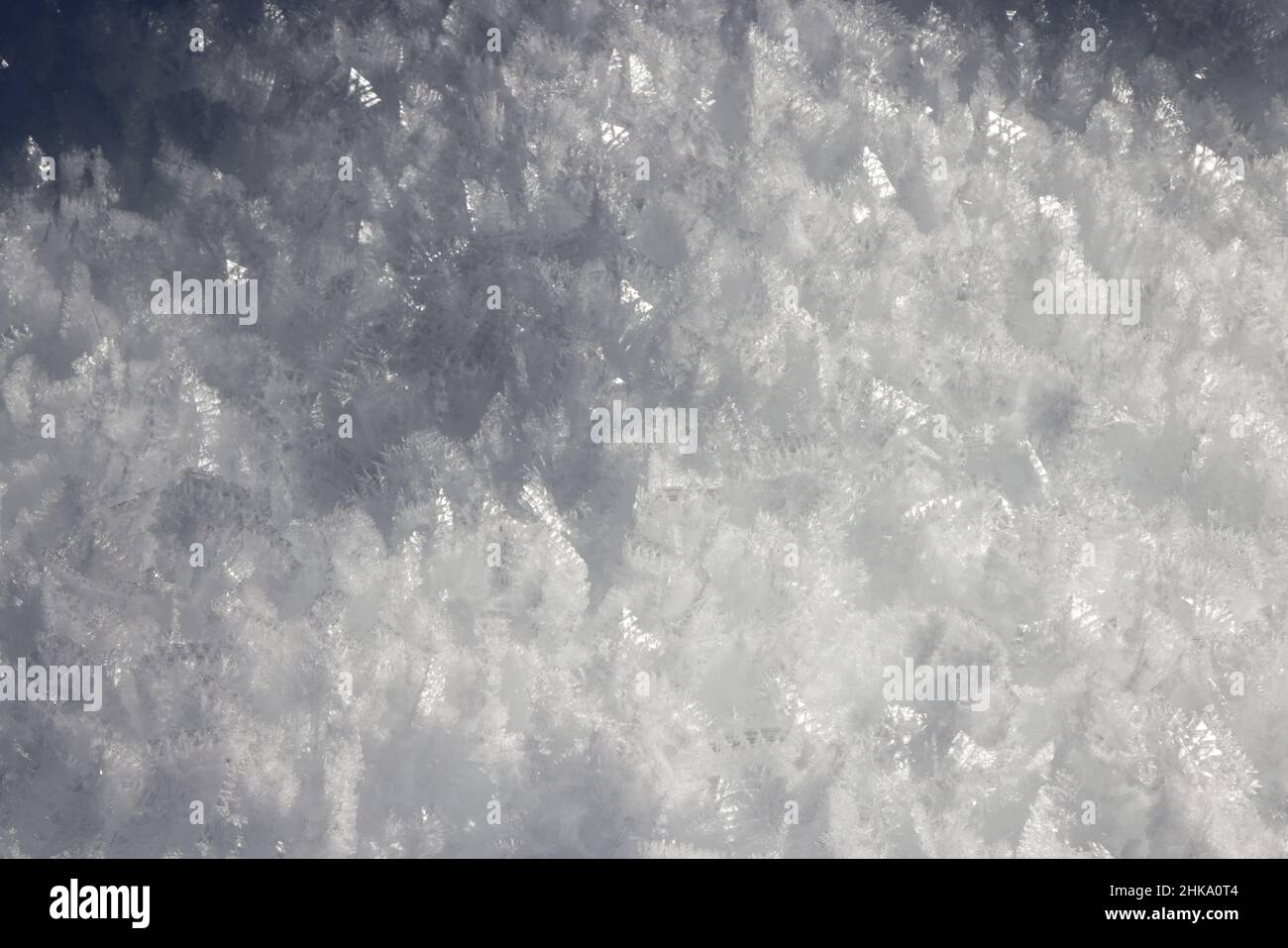 The snow of Val Saisera covered with ice crystals, Italy Stock Photo ...
