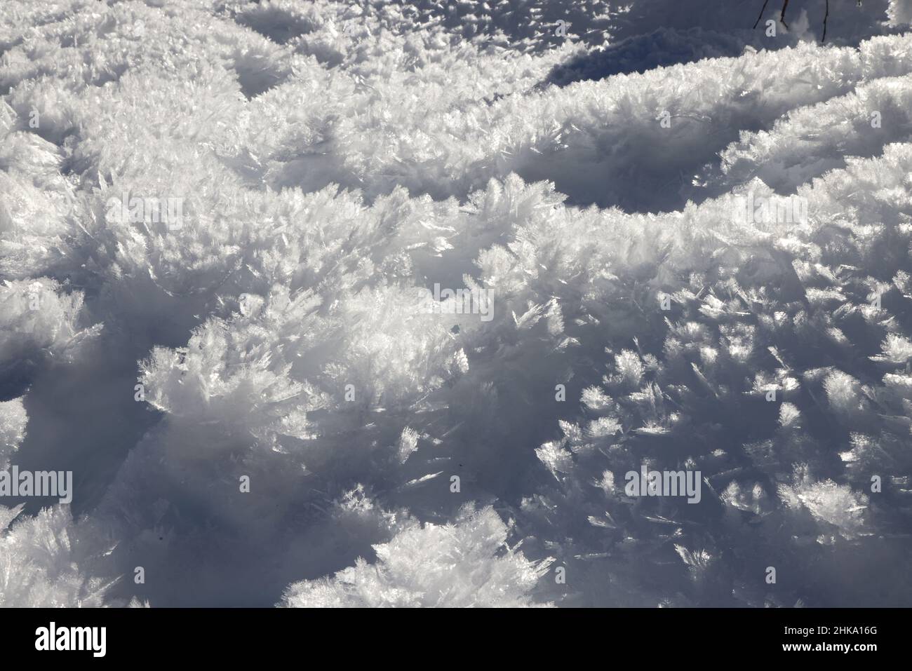 The snow of Val Saisera covered with ice crystals, Italy Stock Photo ...