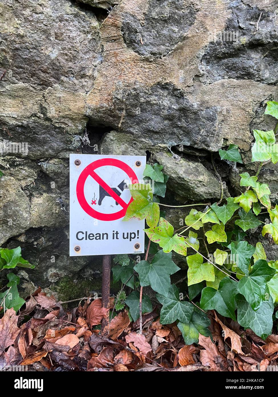Clean up dog mess sign by a stone wall Stock Photo - Alamy