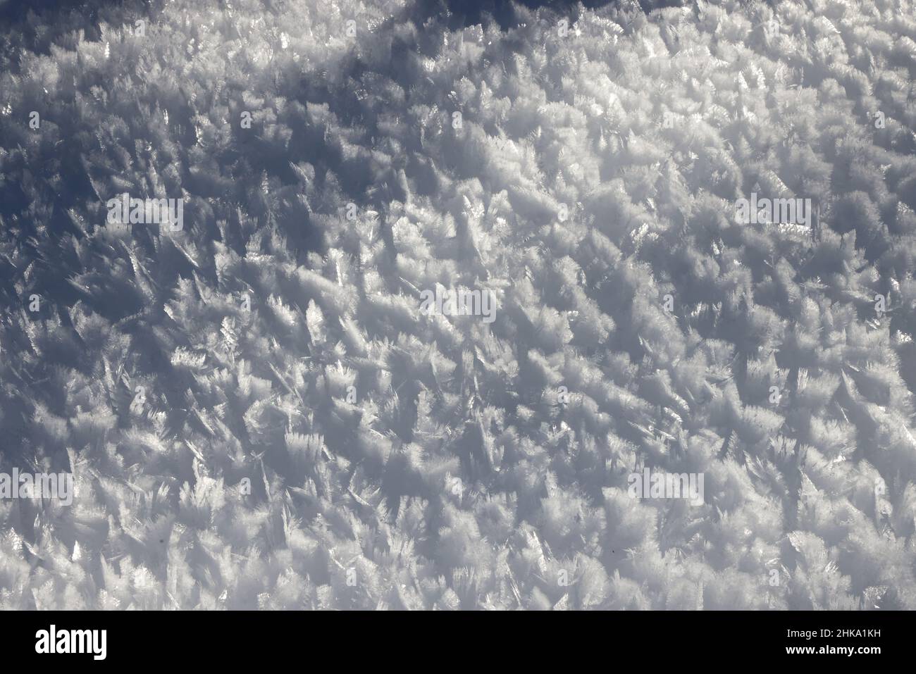 The snow of Val Saisera covered with ice crystals, Italy Stock Photo ...