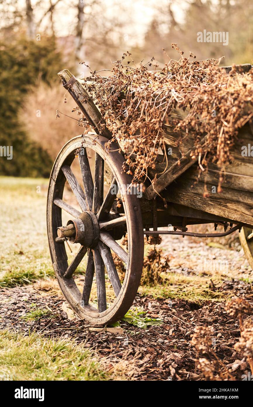 Wooden cart with plants Stock Photo - Alamy