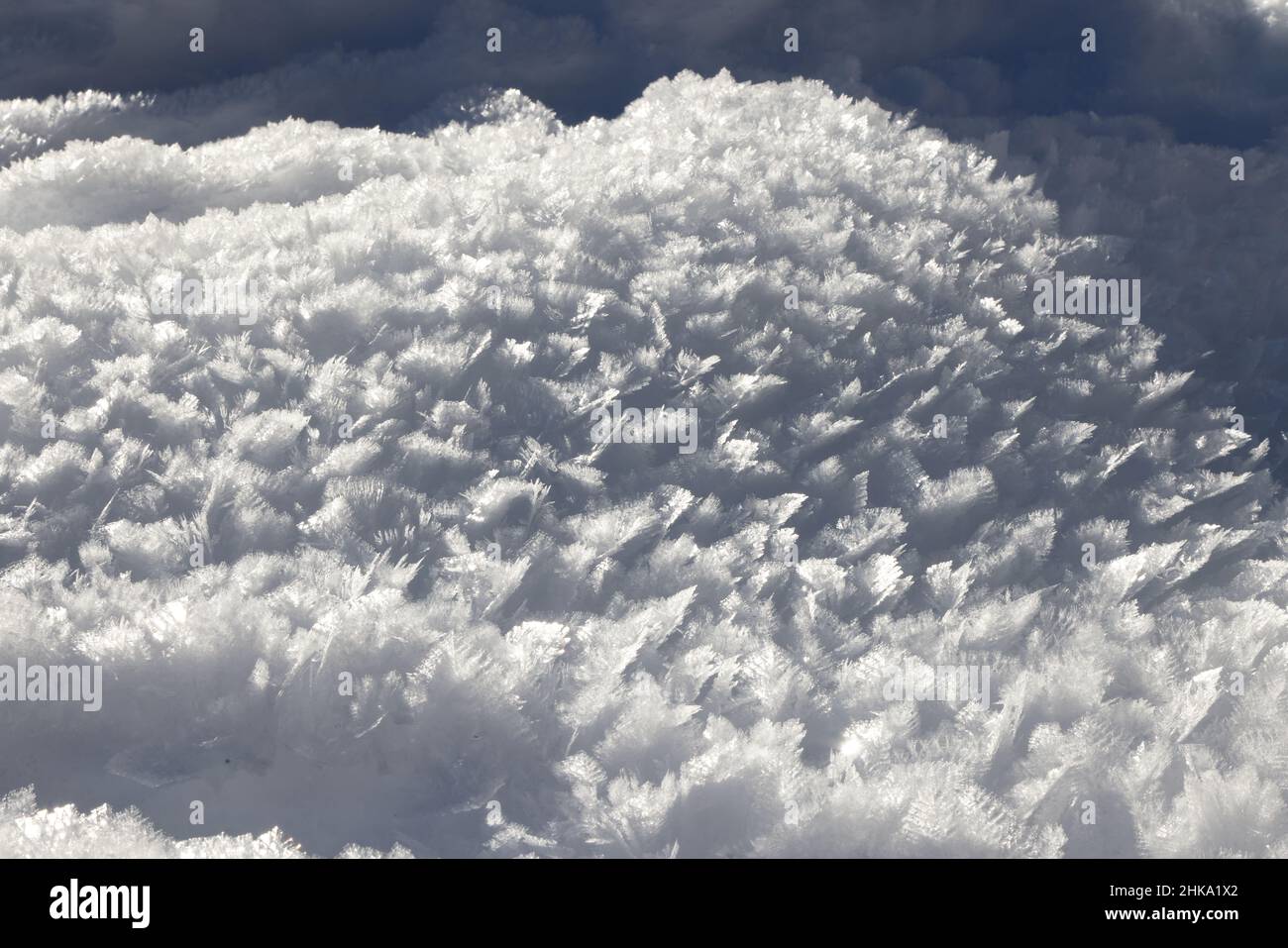 The snow of Val Saisera covered with ice crystals, Italy Stock Photo ...