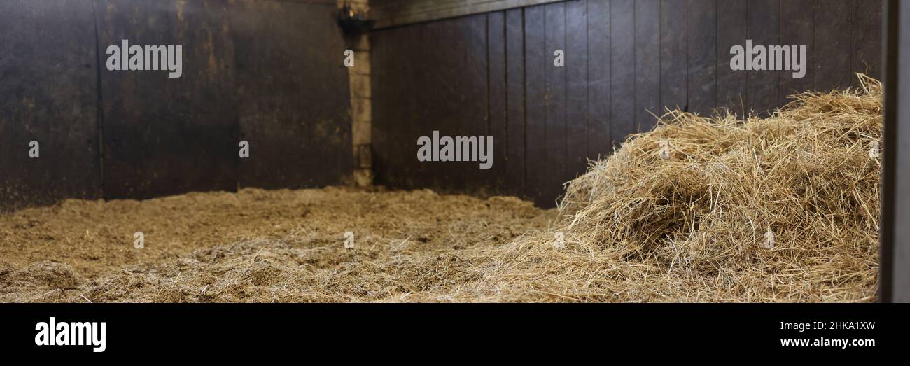 Empty stall hi-res stock photography and images - Alamy