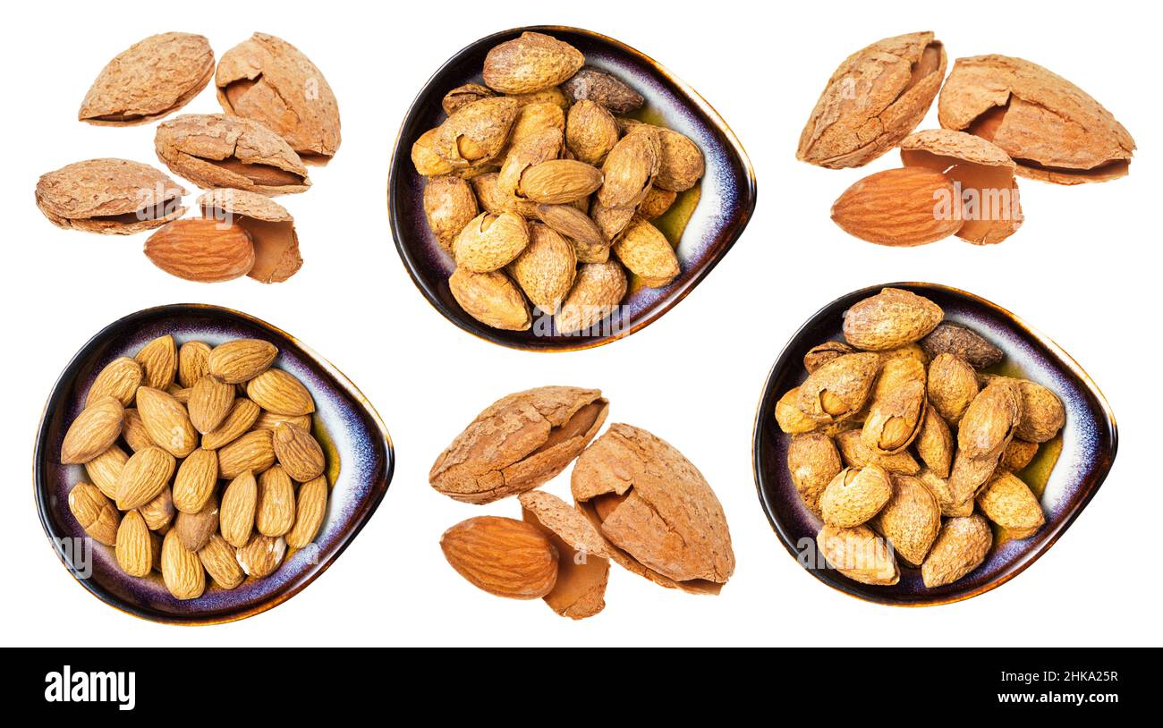 set of various almond seeds isolated on white background Stock Photo ...