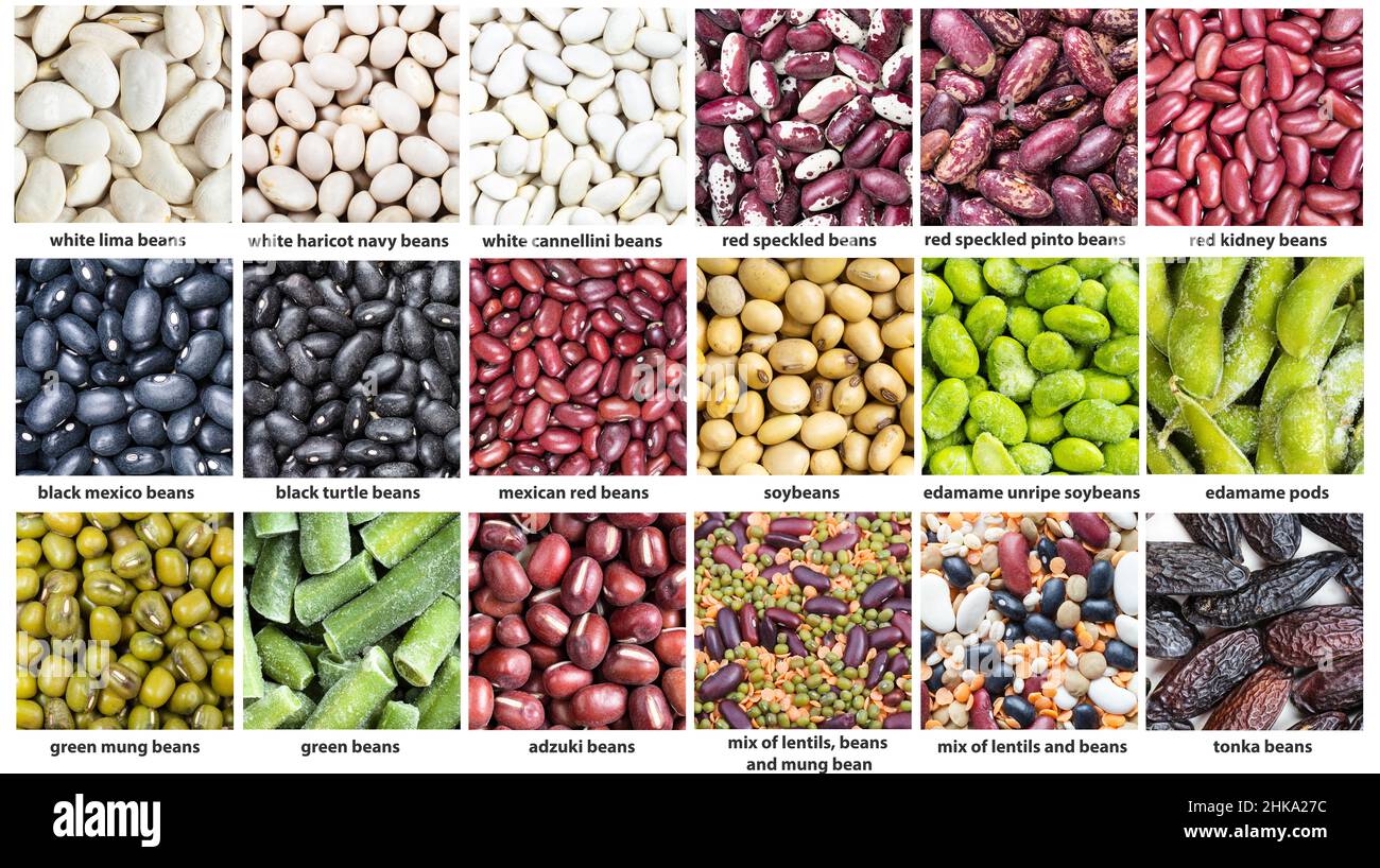 set of square food background - various beans with names close up Stock ...
