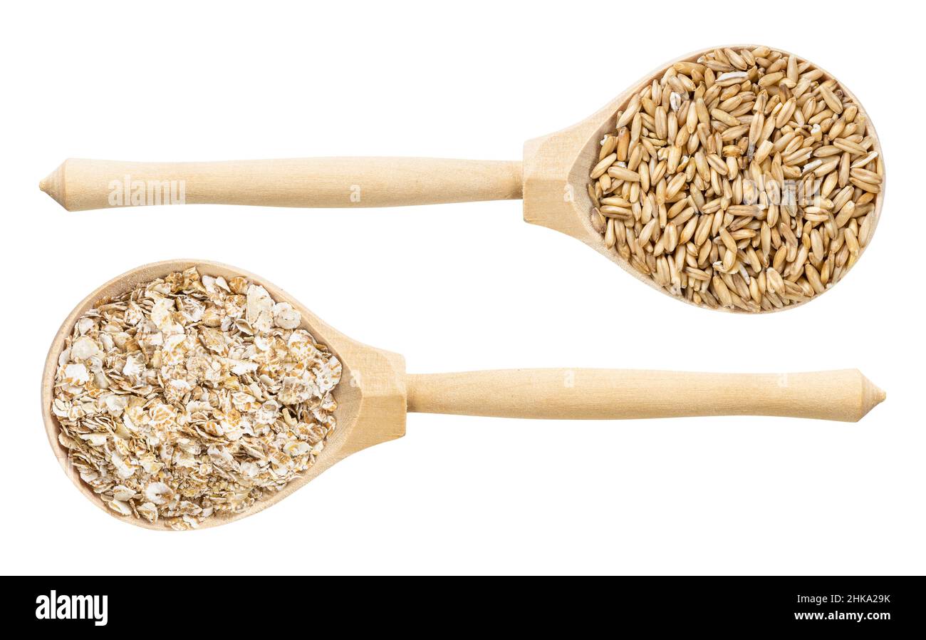 set of top views of wooden spoon with oat grains isolated on white ...