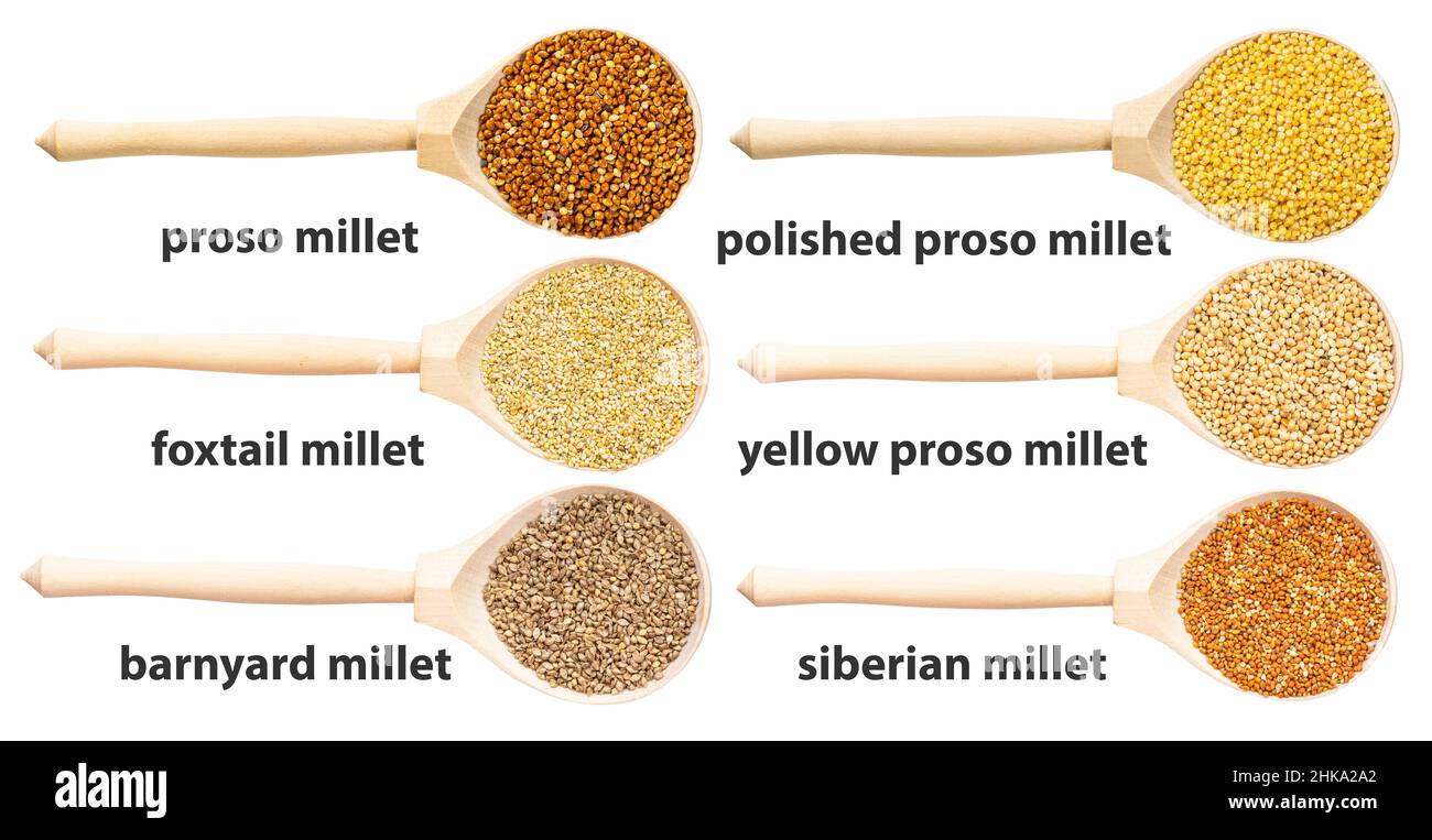 set of top views of wooden spoon with various millets with names ...