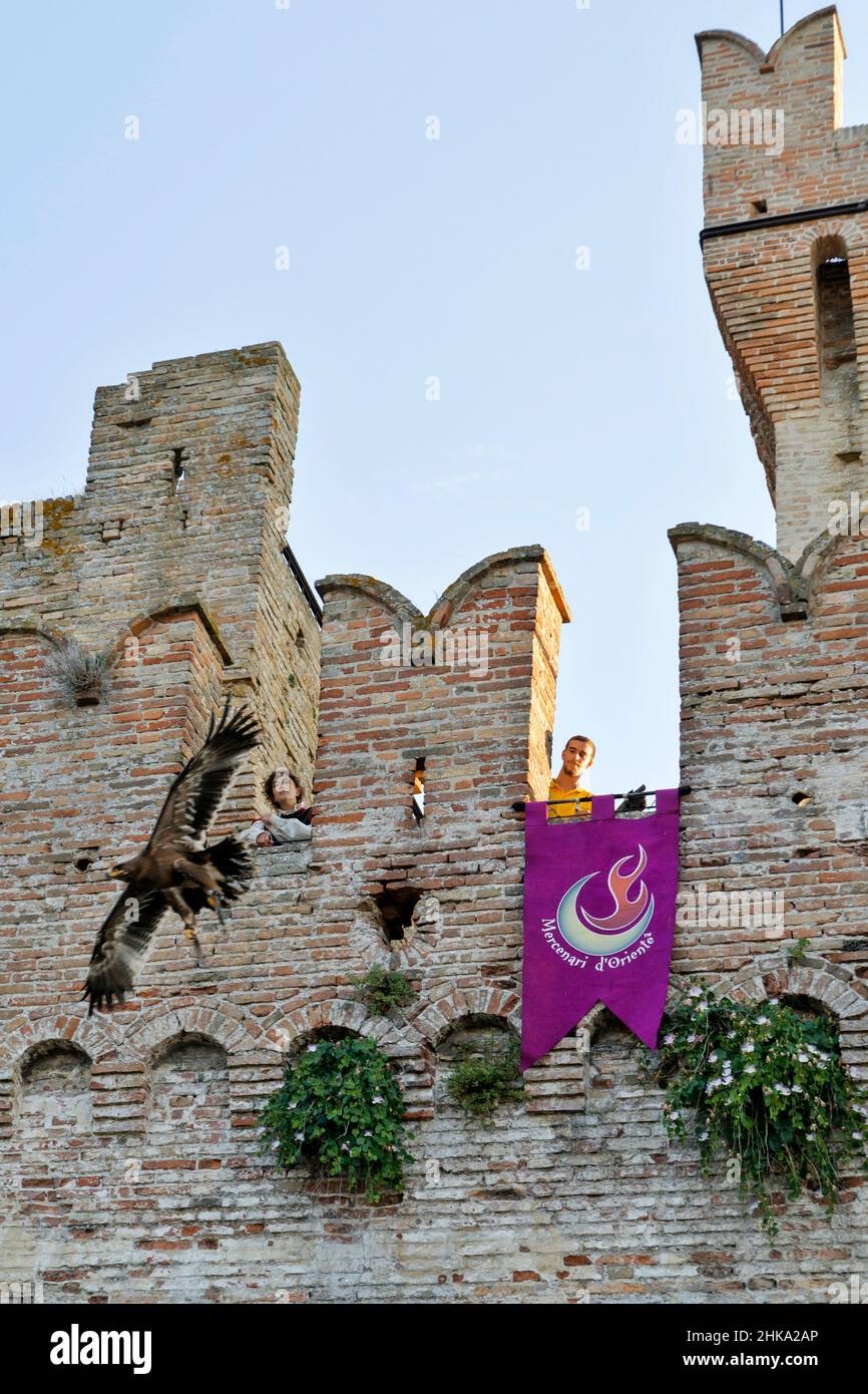 Medieval festivals in Offagna,, Old Town, Castle, Falconry show, Marche ...