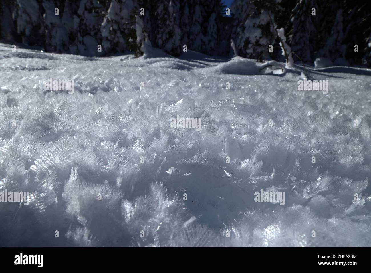 The snow of Val Saisera covered with ice crystals, Italy Stock Photo ...