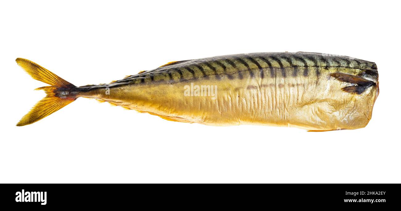 cold smoked headless mackerel isolated on white background Stock Photo ...